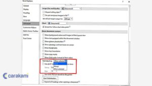 2 Cara Menghilangkan Field Shading Microsoft Word Terbaru
