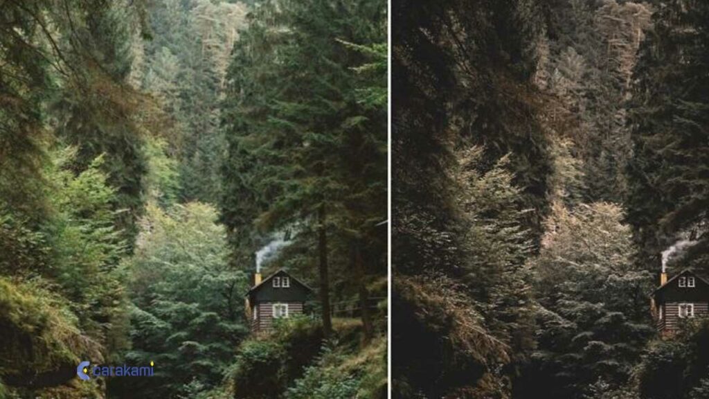 5 Rumus Lightroom Alam Di Gunung & Hutan Terbaik