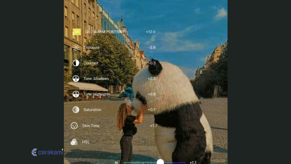 Preset VSCO Aesthetic Terbaik