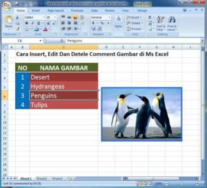 4 Cara Menyisipkan Gambar Ke Dalam Komentar Di Ms Excel