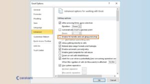 5 Cara Menonaktifkan Fitur AutoComplete Di Microsoft Office Excel Terbaru