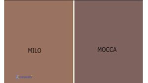 Perbedaan Warna Mocca Dan Milo