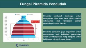 5 PIRAMIDA PENDUDUK INDONESIA: Pengertian, Fungsi, Jenis & Gambar