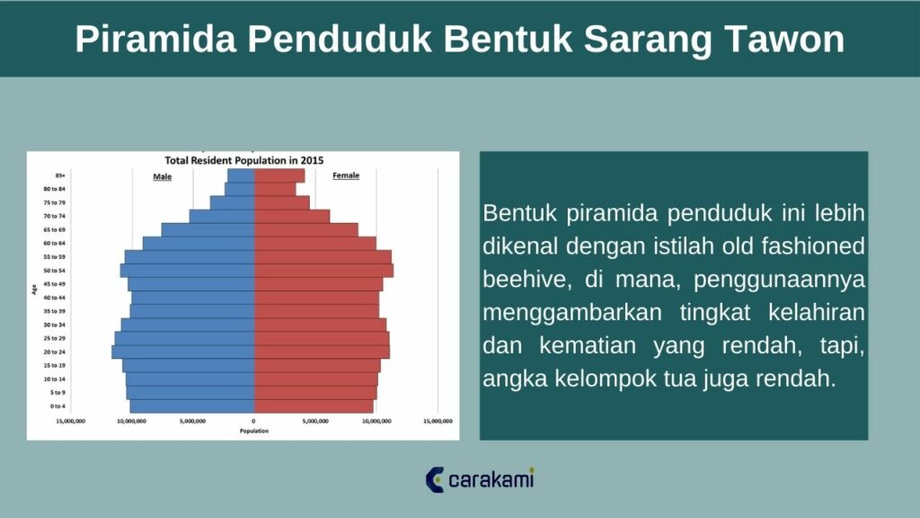 5 PIRAMIDA PENDUDUK INDONESIA: Pengertian, Fungsi, Jenis & Gambar
