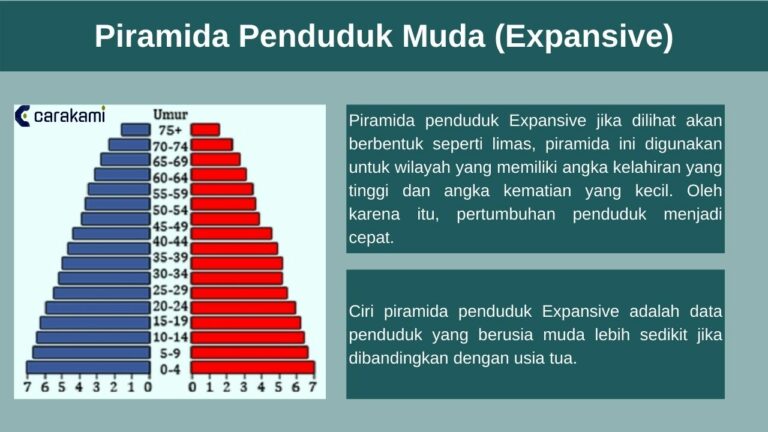 5 PIRAMIDA PENDUDUK INDONESIA: Pengertian, Fungsi, Jenis & Gambar