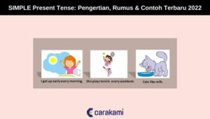 SIMPLE Present Tense: Pengertian, Rumus & Contoh Terbaru 2024