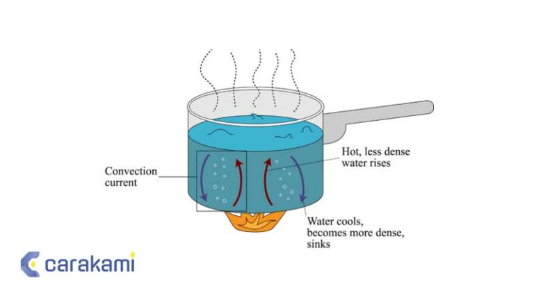 Contoh Konveksi Dalam Kehidupan Sehari Hari