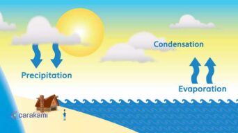 Humidity Artinya: Pengertian dan Masalah