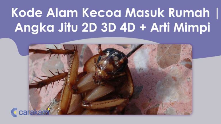 40+ Kode Alam Ular 2D 3D 4D + Gambar, Erek Erek dan Primbon Terbaru
