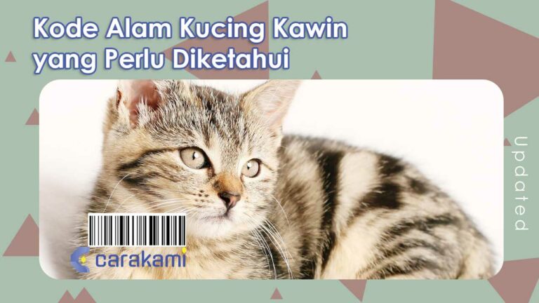 12 Kode Alam Kucing Kawin Lengkap yang Perlu Diketahui