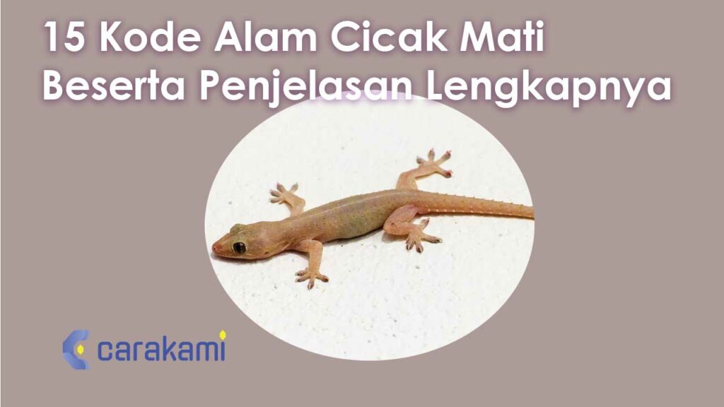 19 Kode Alam Monyet 2D 3D 4D Terbaru