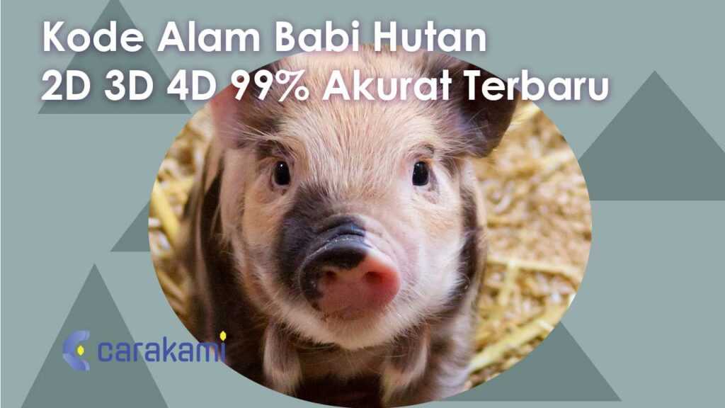 Kode Alam Kucing 2D 3D 4D + Gambar, Erek Erek dan Primbon Terbaru