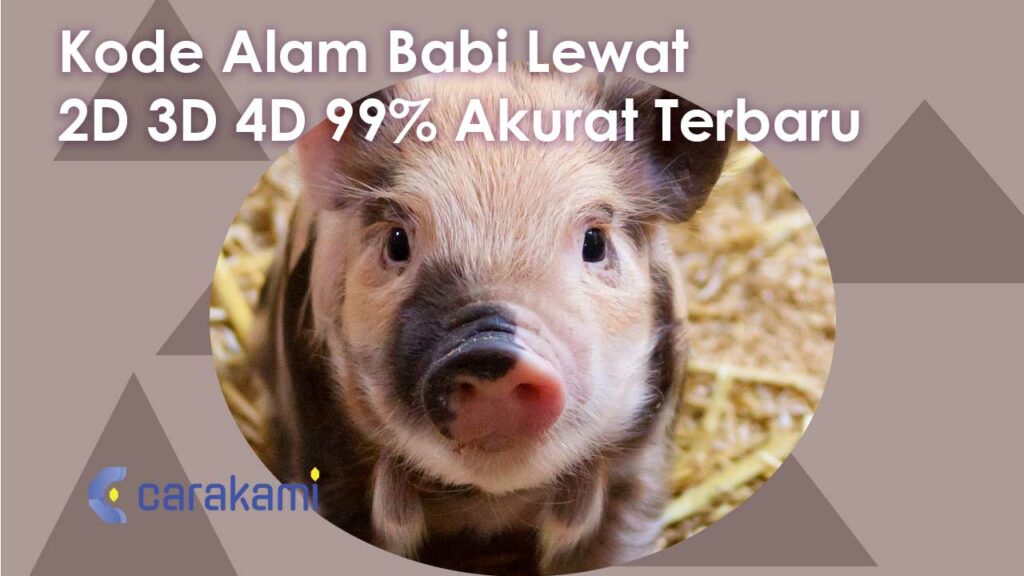 Kode Alam Kucing 2D 3D 4D + Gambar, Erek Erek dan Primbon Terbaru