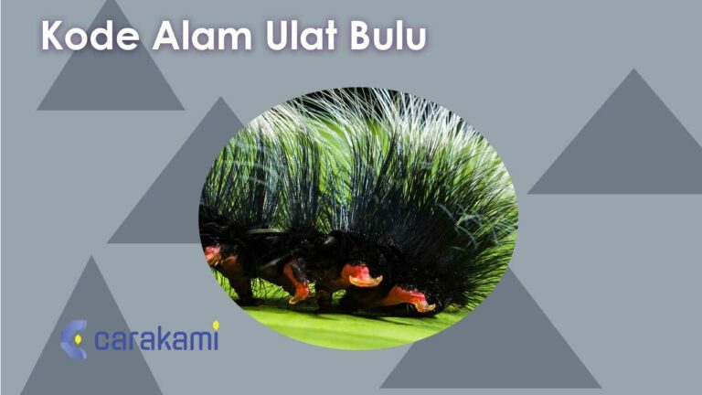17 Kode Alam Ulat Bulu Beserta Tafsir Mimpinya Terbaru