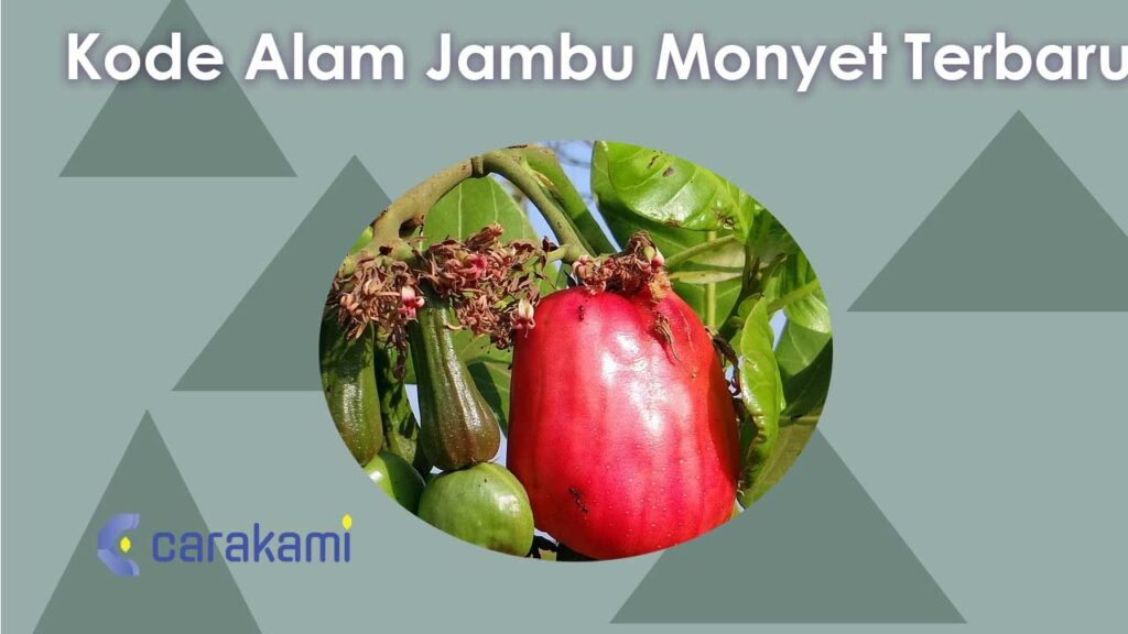 18 Kode Alam Jambu Monyet 2D 3D 4D Terbaru