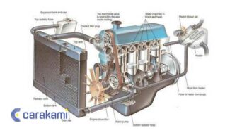 Radiator Adalah: Pengertian, Fungsi, Cara Kerja, dan Perawatannya 100% ...