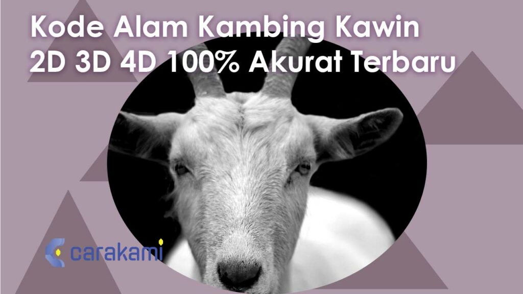 50+ Kode Alam Lengkap 2D 3D 4D 100% Akurat Terbaru