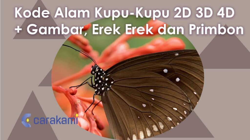 10+ Kode Alam Ikan 2D 3D 4D + Arti Mimpi Ikan Terbaru
