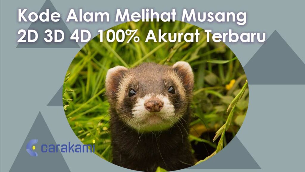 40+ Kode Alam Ayam 2D 3D 4D + Gambar, Erek Erek dan Primbon Terbaru