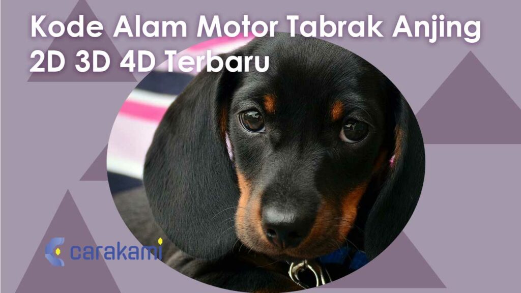 10+ Kode Alam Ikan 2D 3D 4D + Arti Mimpi Ikan Terbaru